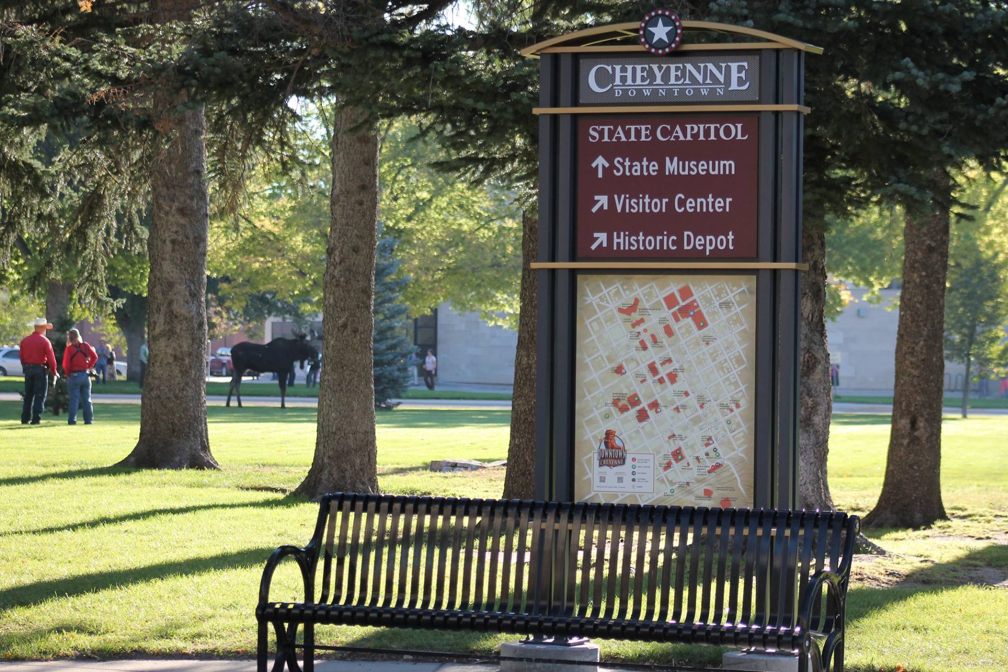 Moose Tours Downtown Cheyenne [PHOTOS] | KFBC AM1240